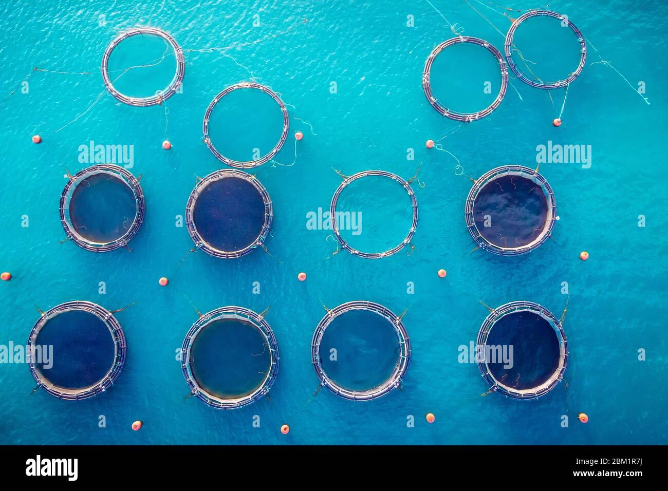 Salmon fish farm in tank for breeding and maintenance, blue water ...