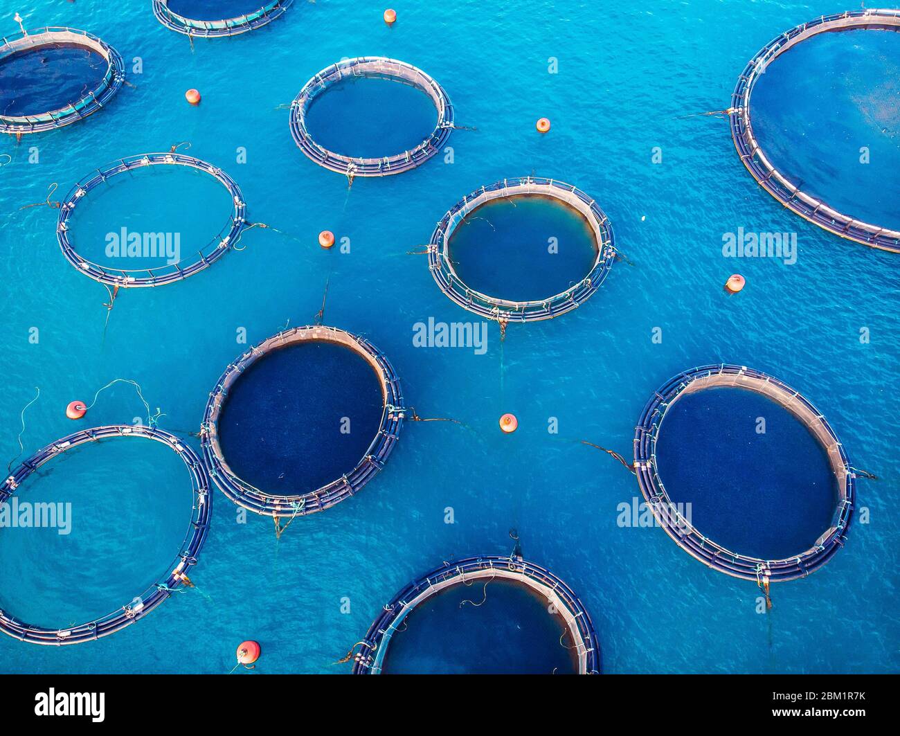Salmon fish farm aquaculture blue water. Aerial top view Stock Photo ...