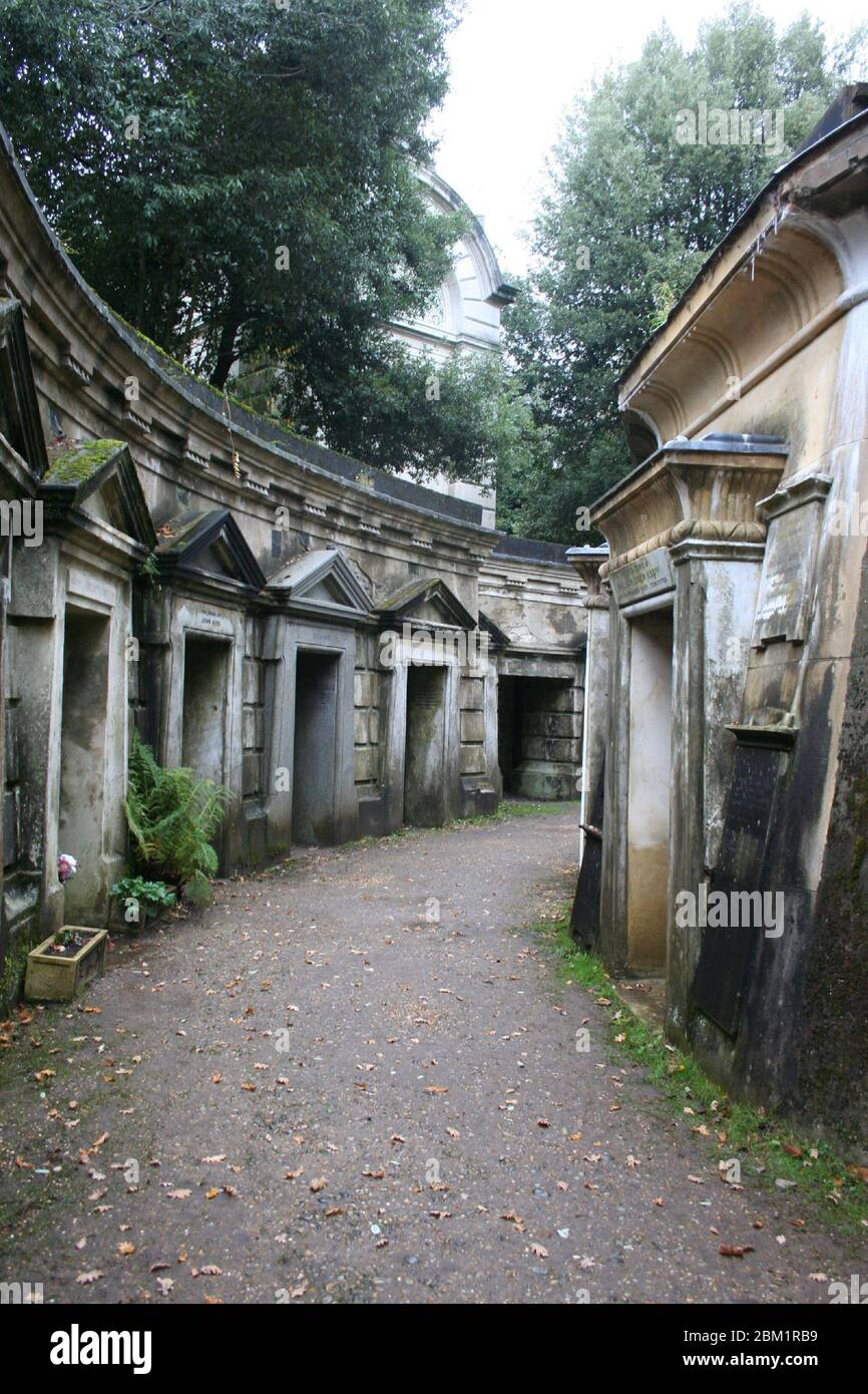 The circle of lebanon hi-res stock photography and images - Alamy