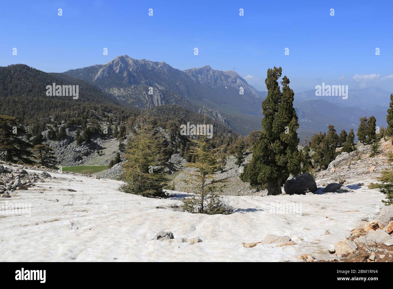 Mountain landscape with cedar trees in valley. Turkey, Lician way in ...