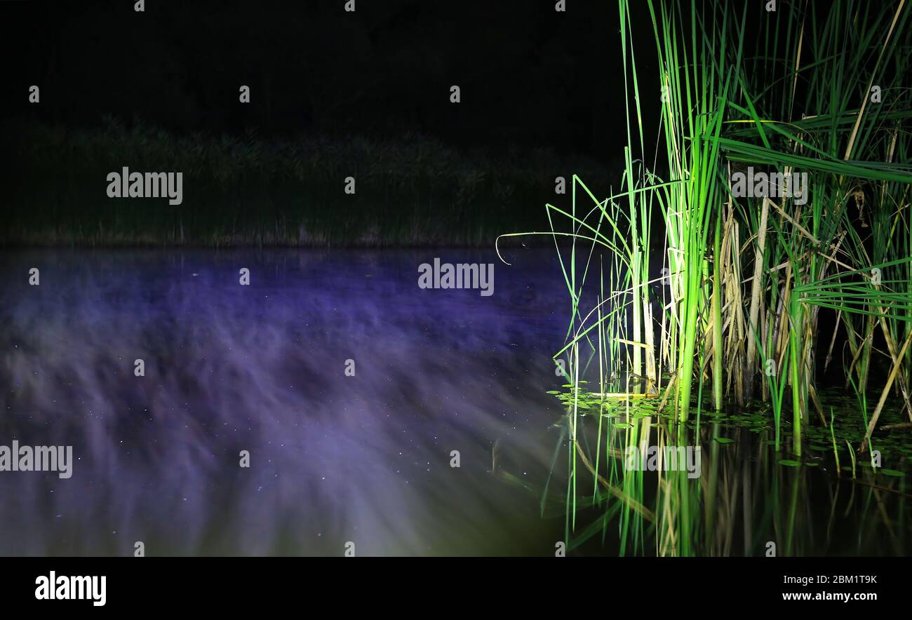 Illuminated fog over river water surface in night time Stock Photo - Alamy