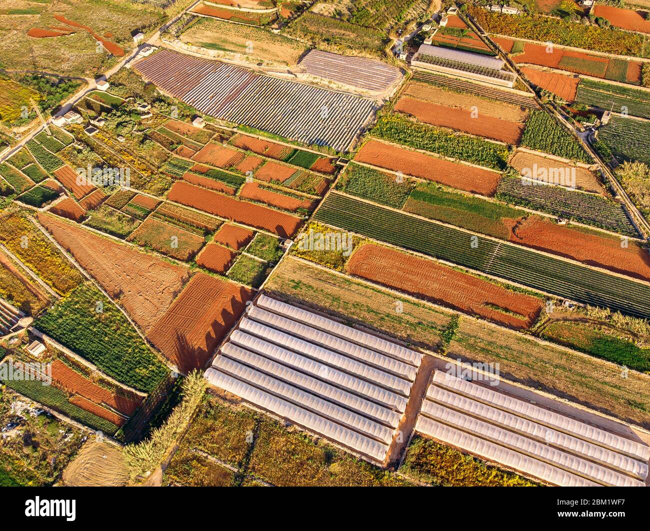 Fields for planting green, yellow, greenhouses growing tomatoes and ...