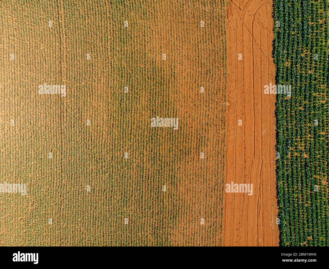 Plow soil texture hi-res stock photography and images - Alamy