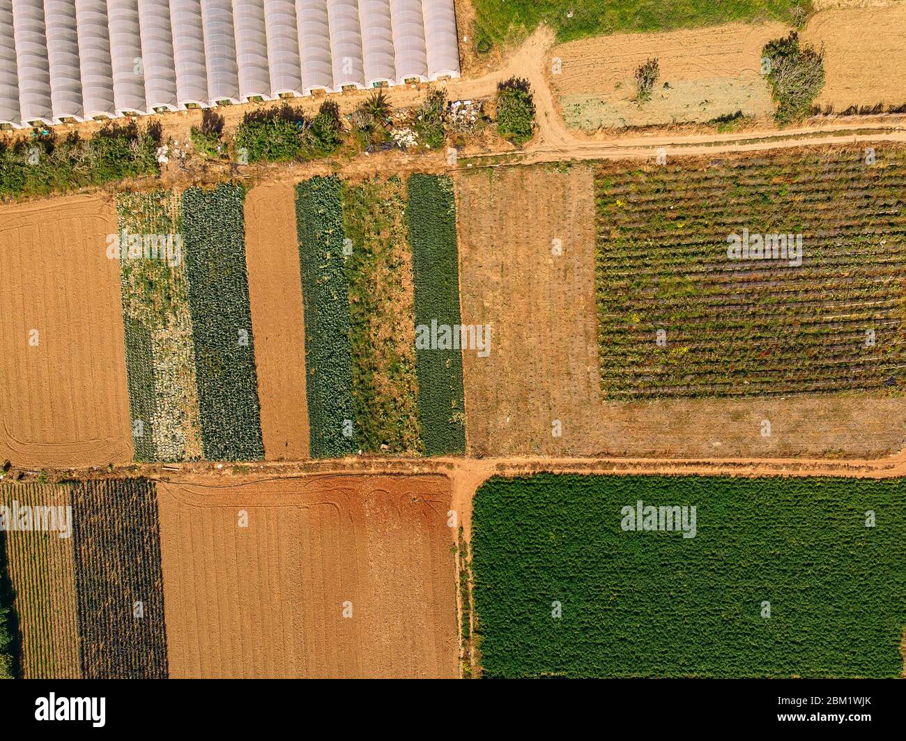 Fields for planting green, yellow, greenhouses growing tomatoes and ...