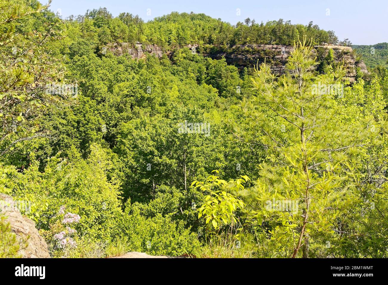 overview from top of Natural Arch, green trees, foliage, limestone ...