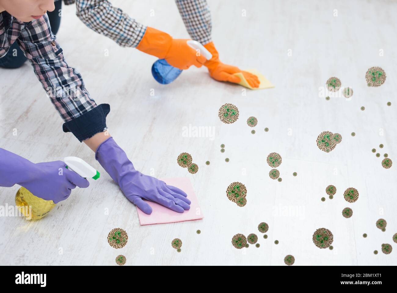 Microbes floor hi-res stock photography and images - Alamy