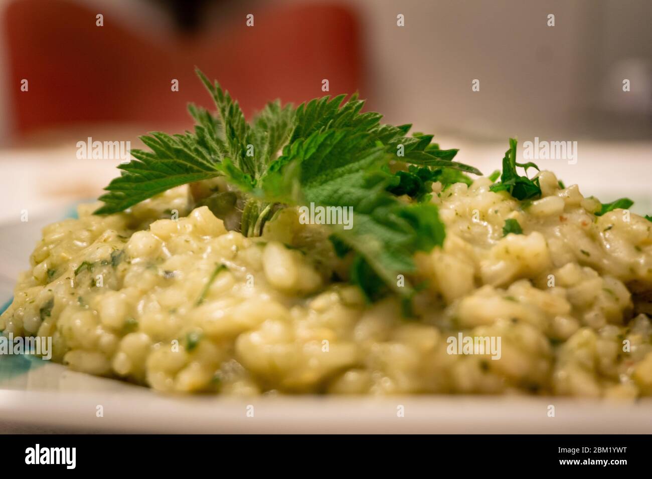 Risotto with Nettle Stock Photo - Alamy