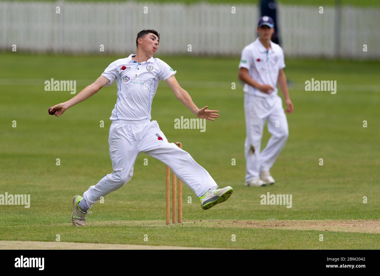 James taylor and cricket hi-res stock photography and images - Alamy