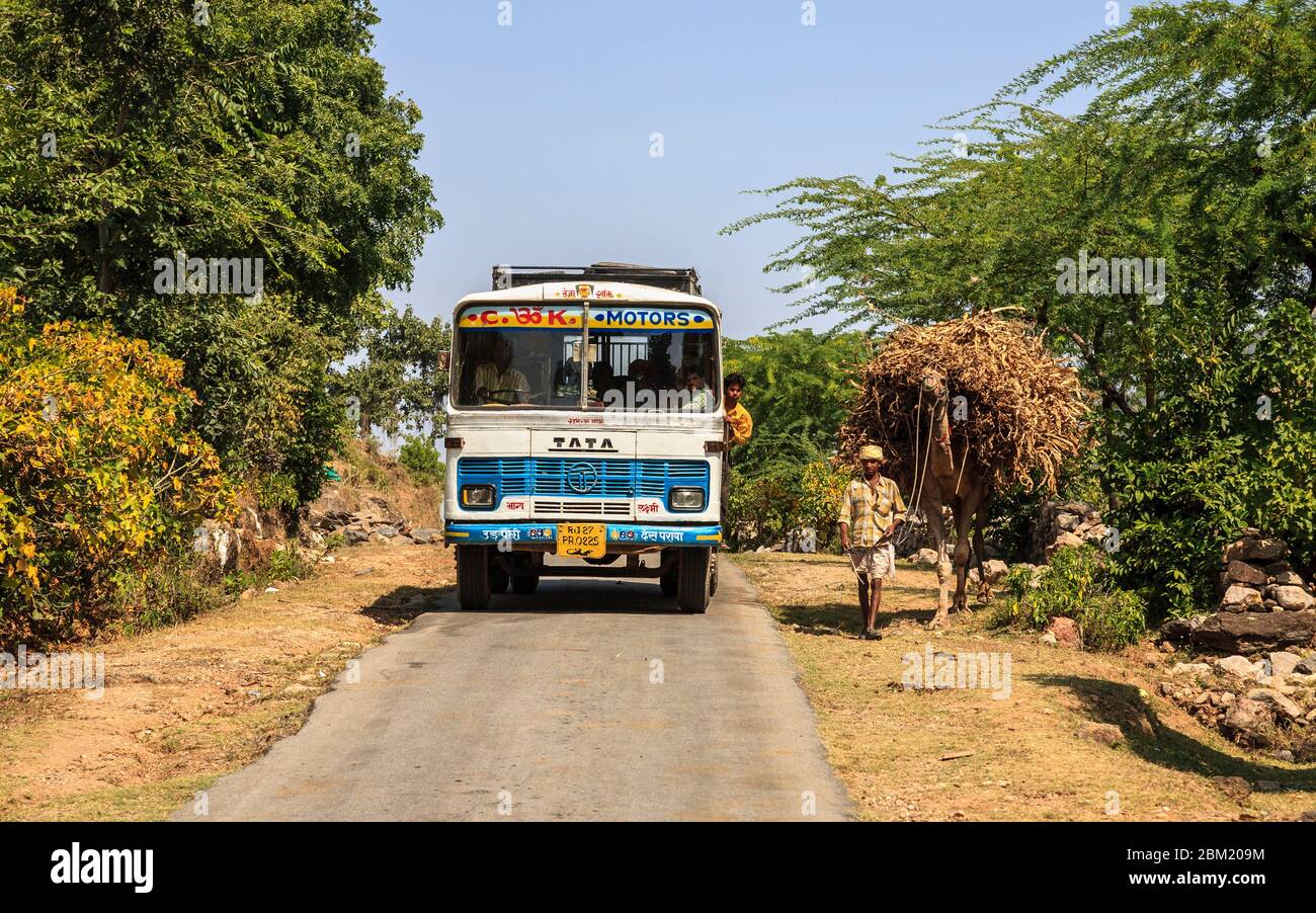 A farm labourer and his camel carrying a bail of straw with the local ...