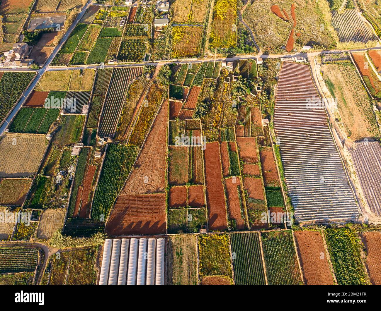 Agriculture concept farm. Fields and greenhouses for plants and ...