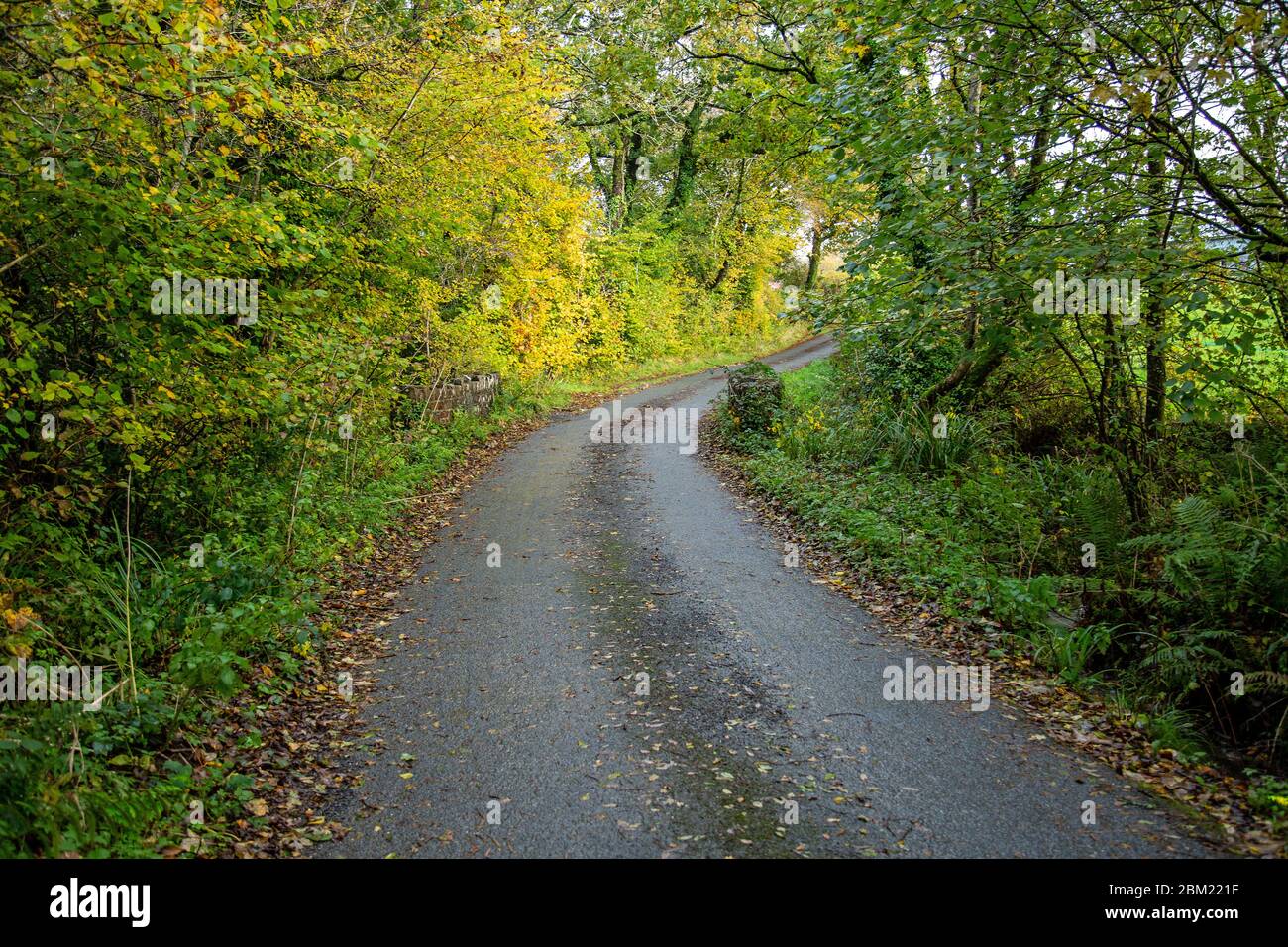 Corner curve road direction hi-res stock photography and images - Alamy