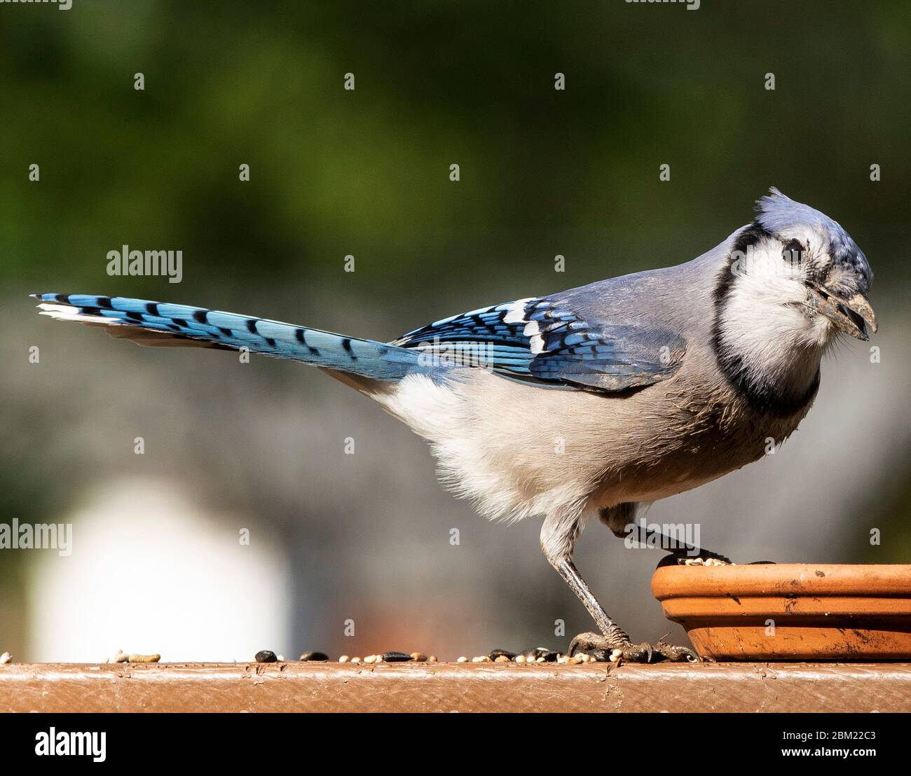 Stepping up hi-res stock photography and images - Alamy