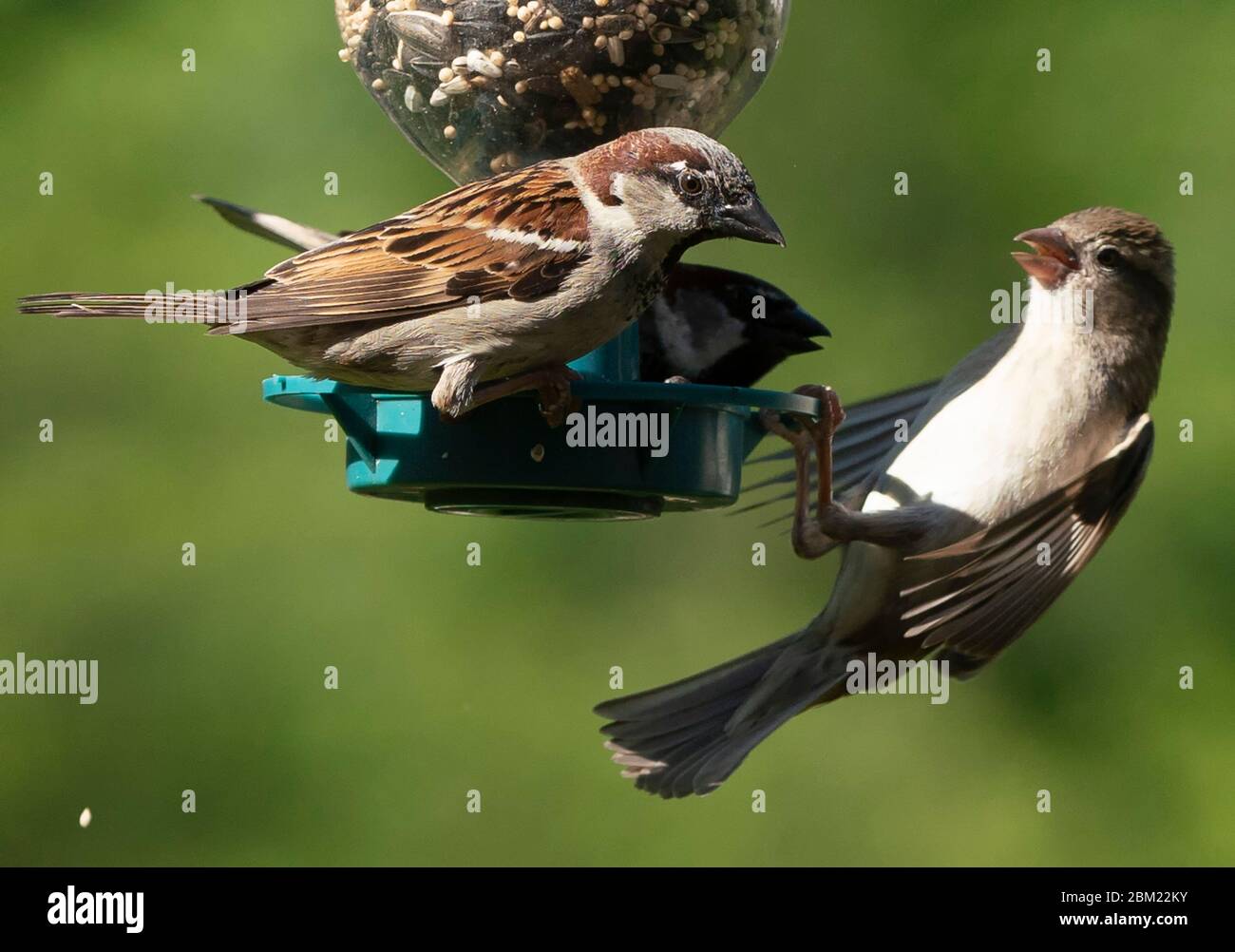 Backing off hi-res stock photography and images - Alamy