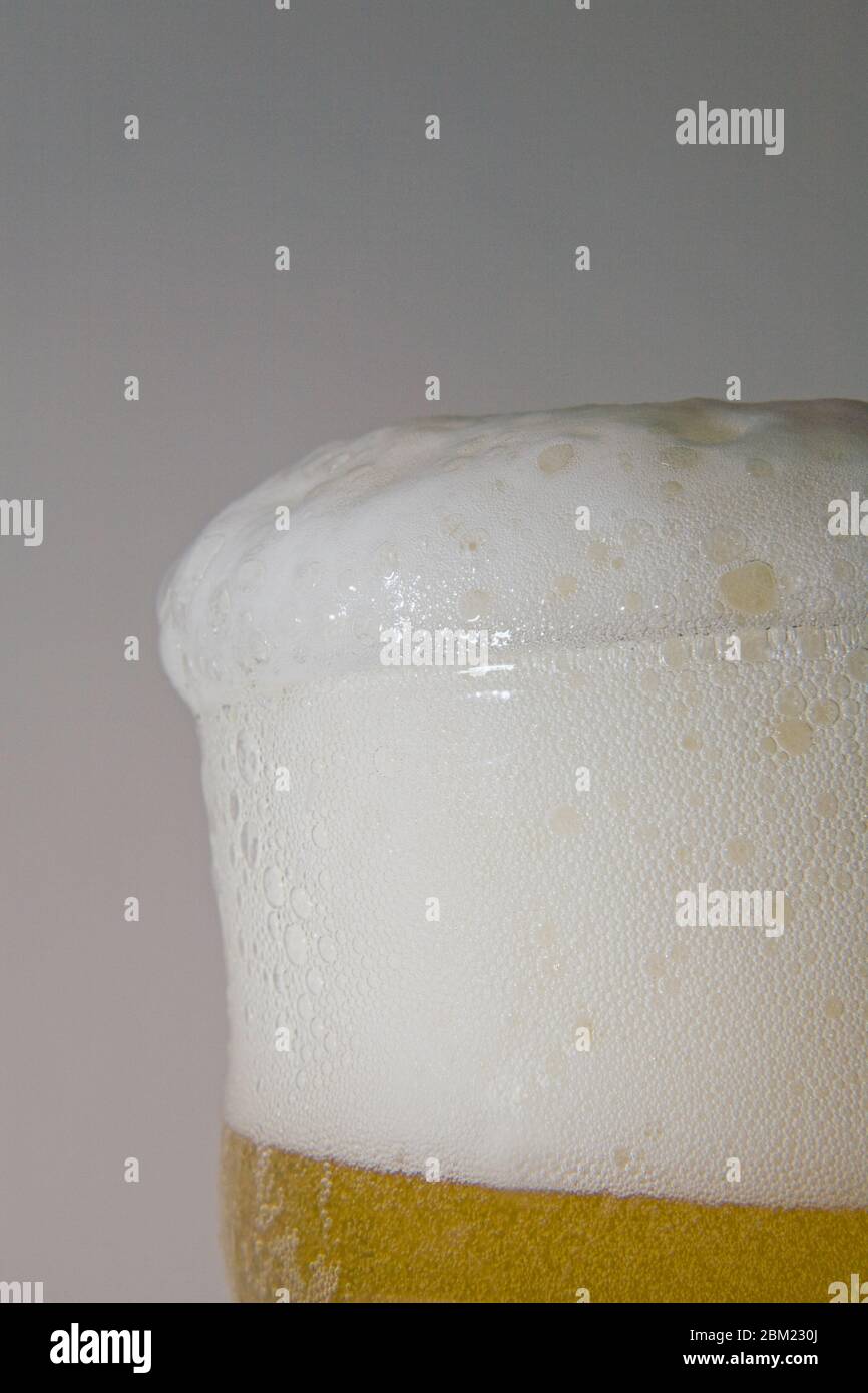 Foamy Glass of Beer Stock Photo - Alamy