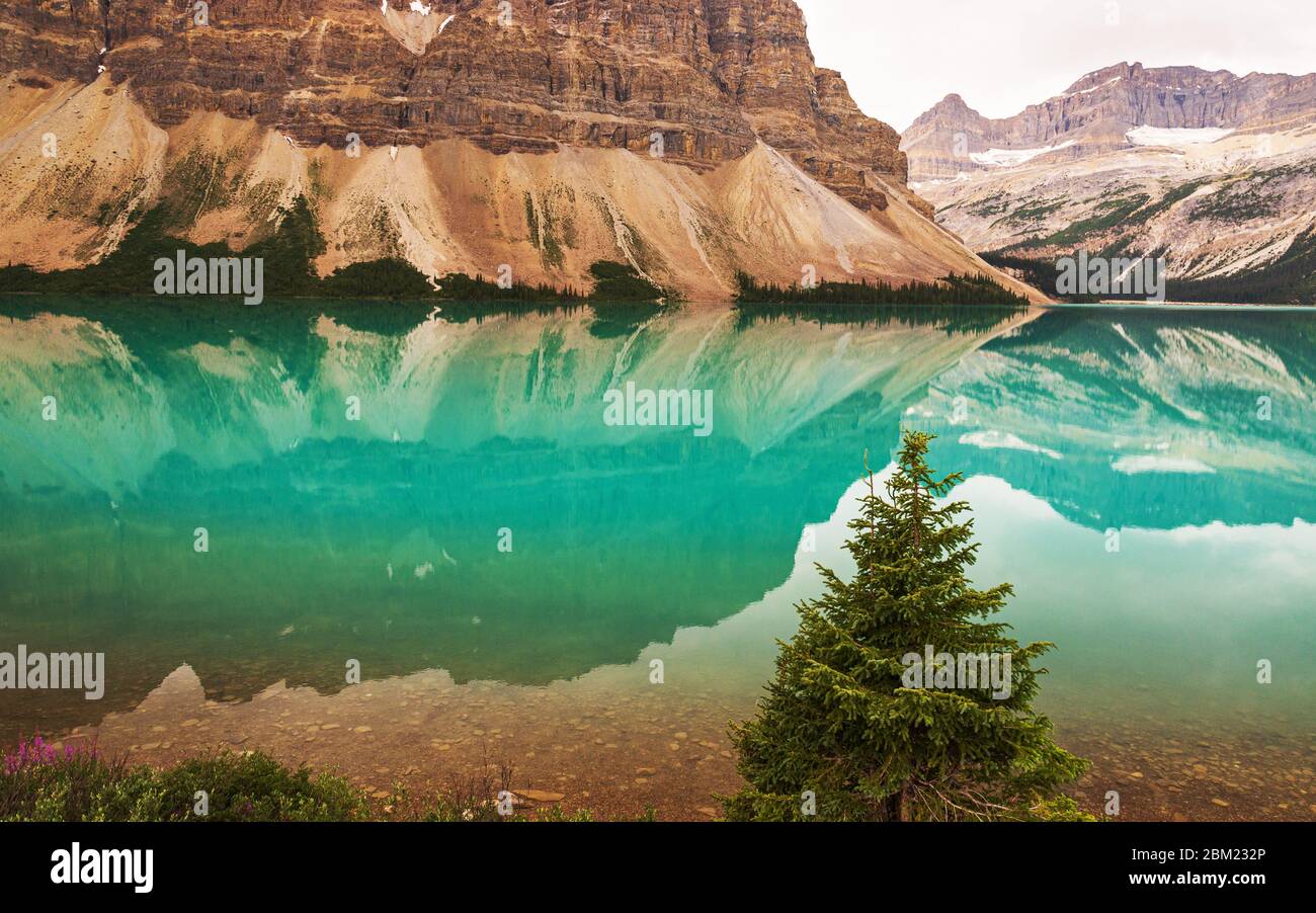 bow lake sceneries, banff national park, alberta, canada Stock Photo ...