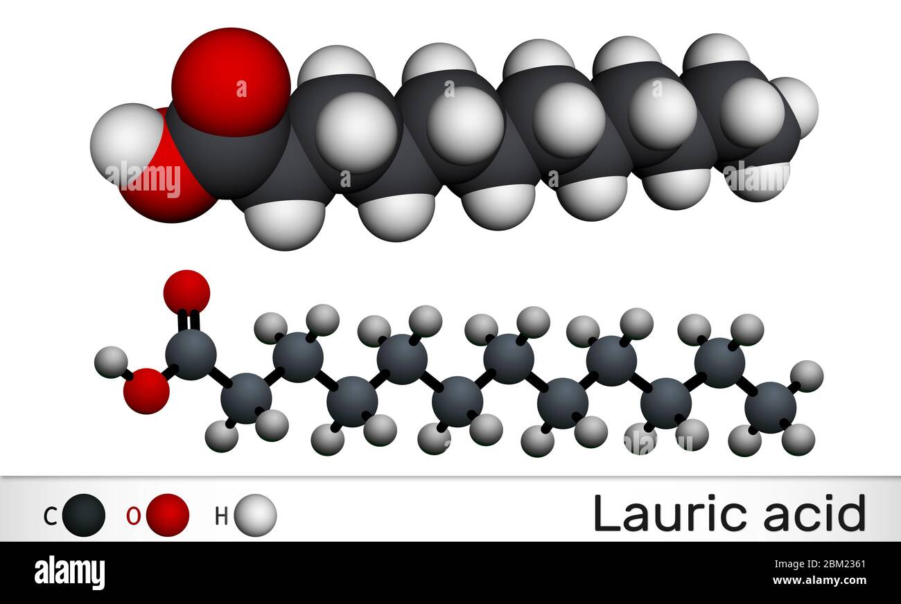 Lauric Acid Structure