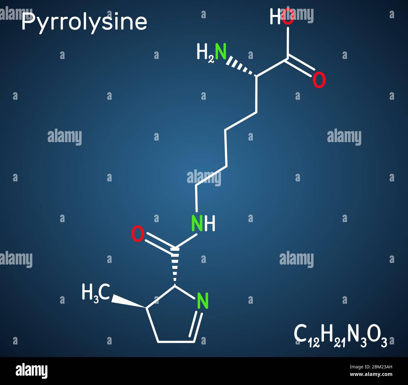 Pyrrolysine, l-pyrrolysine, Pyl, C12H21N3O3 molecule. It is amino acid ...