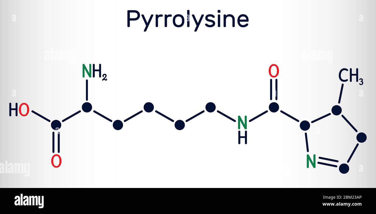 Pyrrolysine, l-pyrrolysine, Pyl, C12H21N3O3 molecule. It is amino acid ...