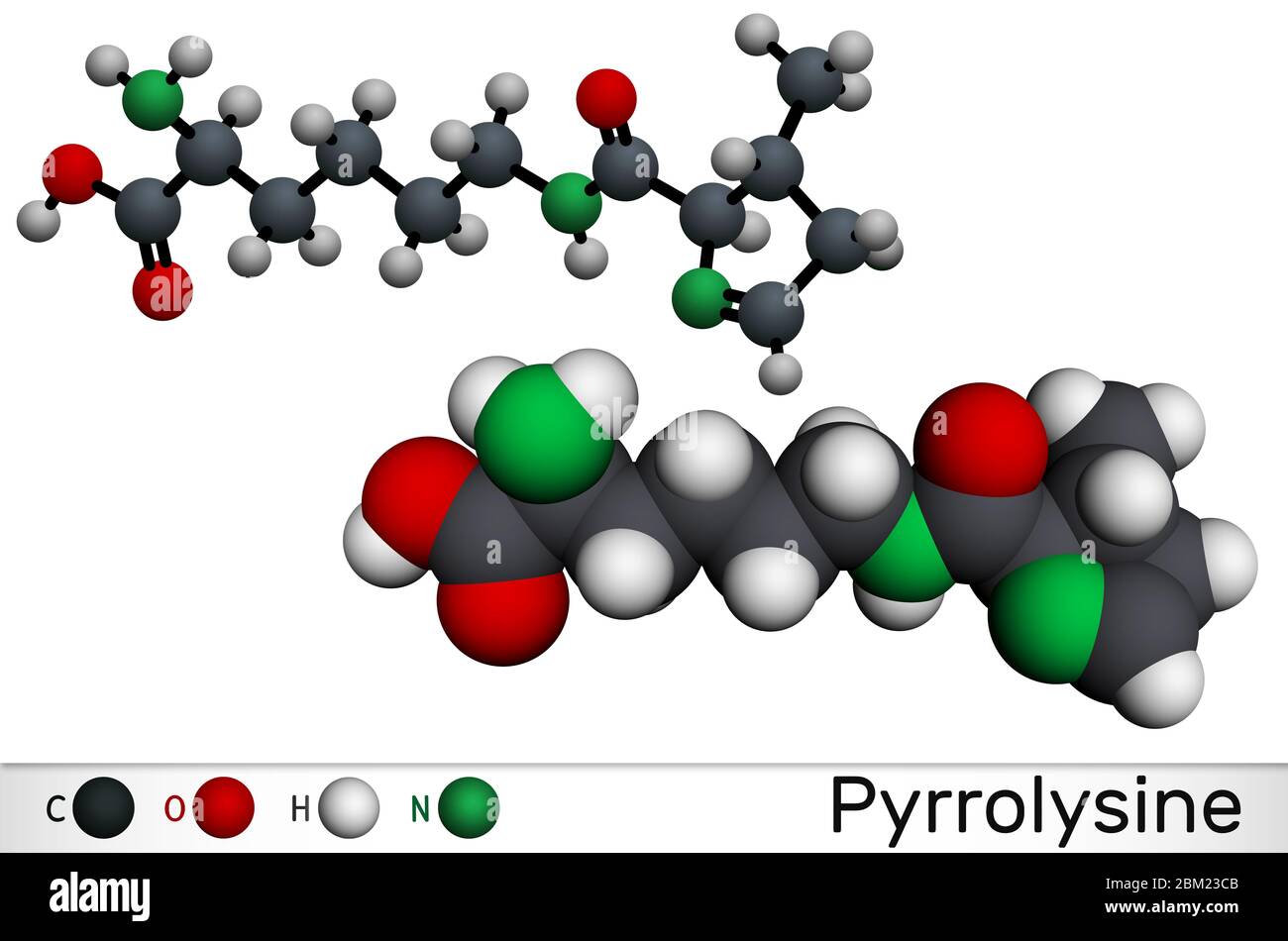 Pyrrolysine, l-pyrrolysine, Pyl, C12H21N3O3 molecule. It is amino acid ...