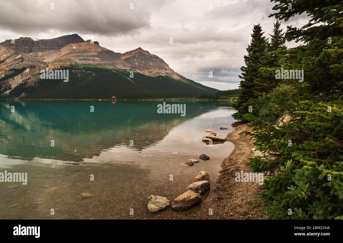 bow lake sceneries, banff national park, alberta, canada Stock Photo ...