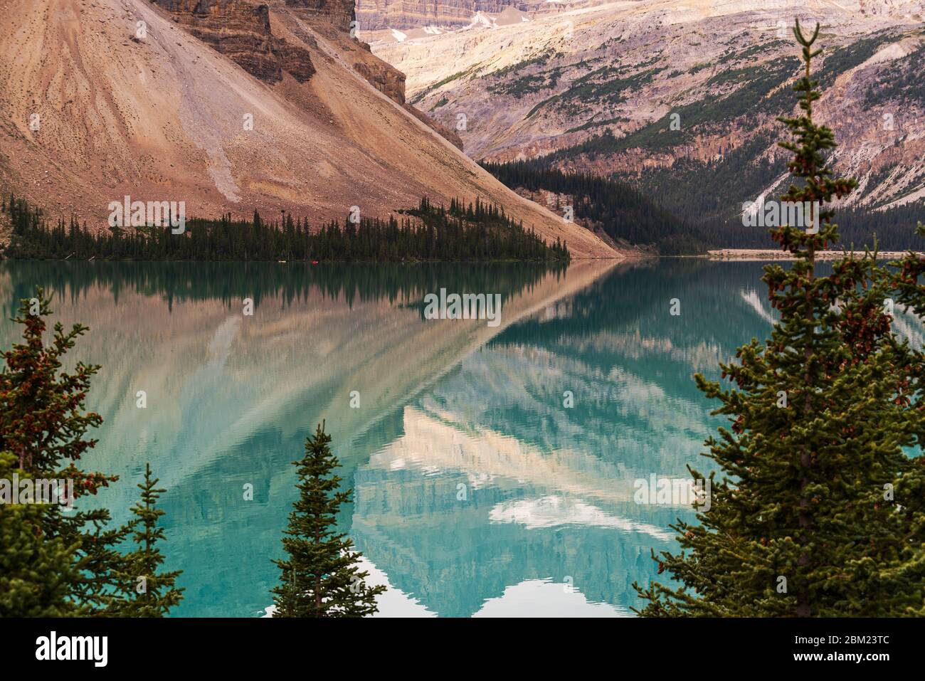 bow lake sceneries, banff national park, alberta, canada Stock Photo ...