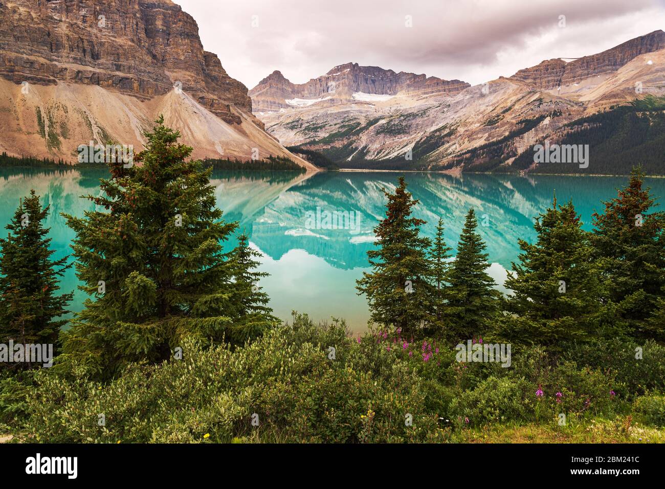 bow lake sceneries, banff national park, alberta, canada Stock Photo ...