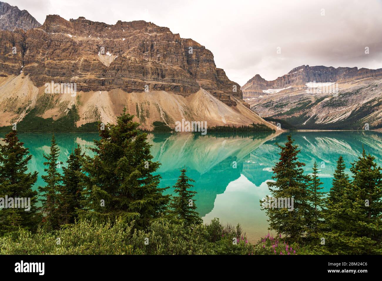 bow lake sceneries, banff national park, alberta, canada Stock Photo ...