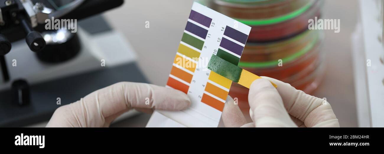 Hands holding litmus test paper for soil analysis Stock Photo - Alamy