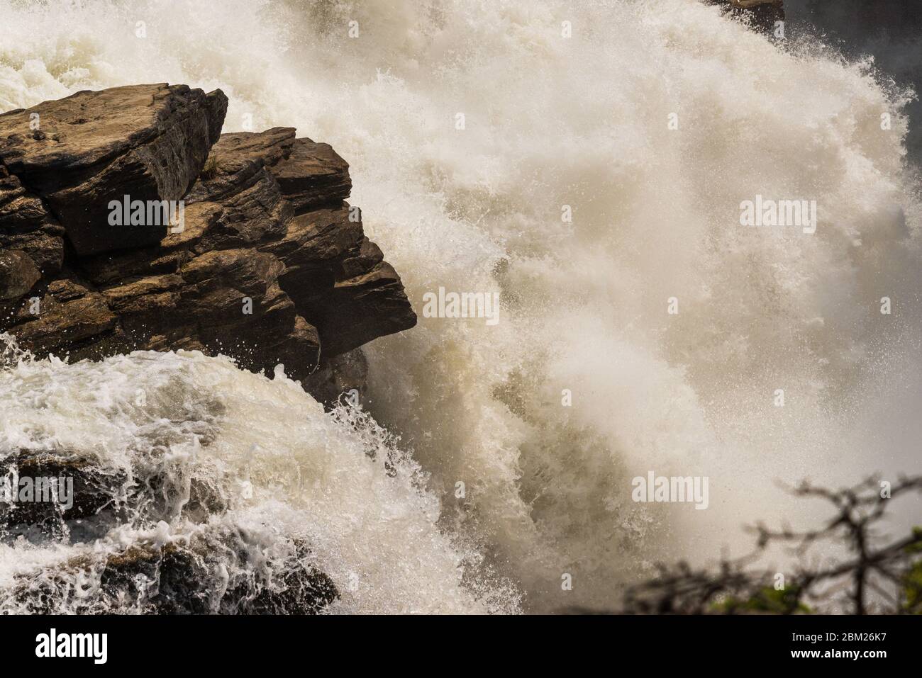Athabaska fall view, Jasper national park, alberta, canada Stock Photo ...