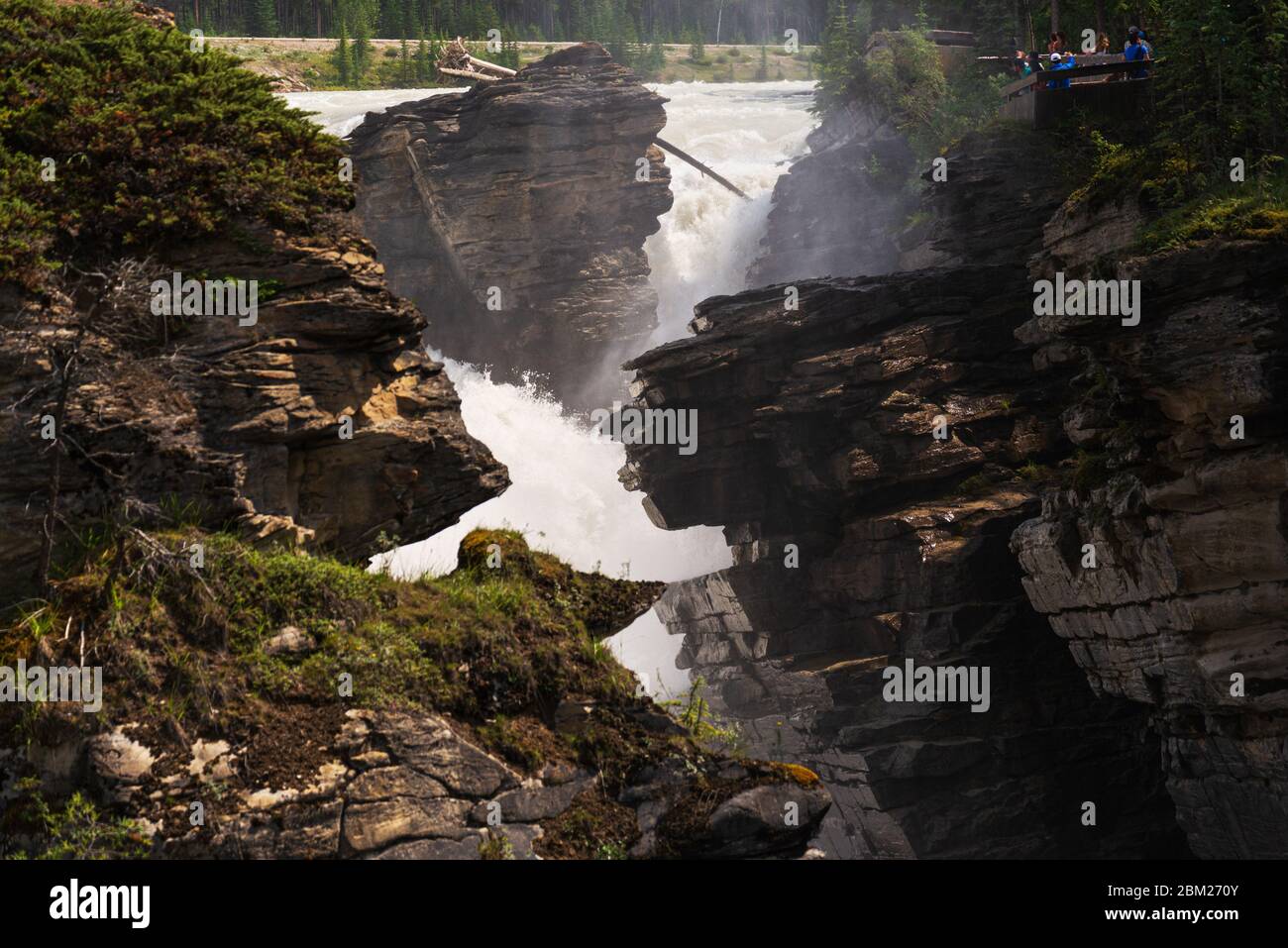 Athabaska hi-res stock photography and images - Alamy