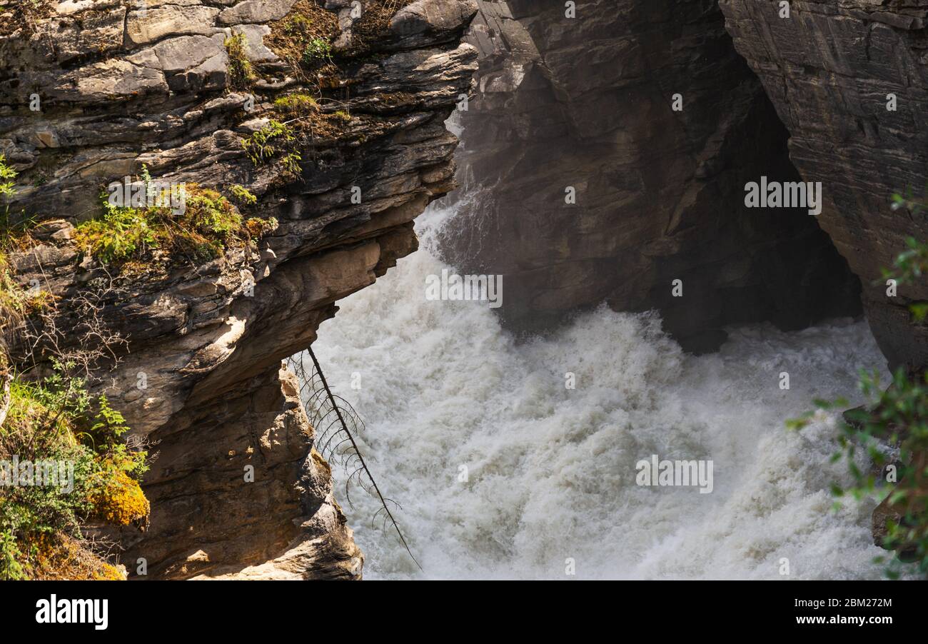 athabaska fall views, Japer National Pak, Alberta, Canada Stock Photo ...