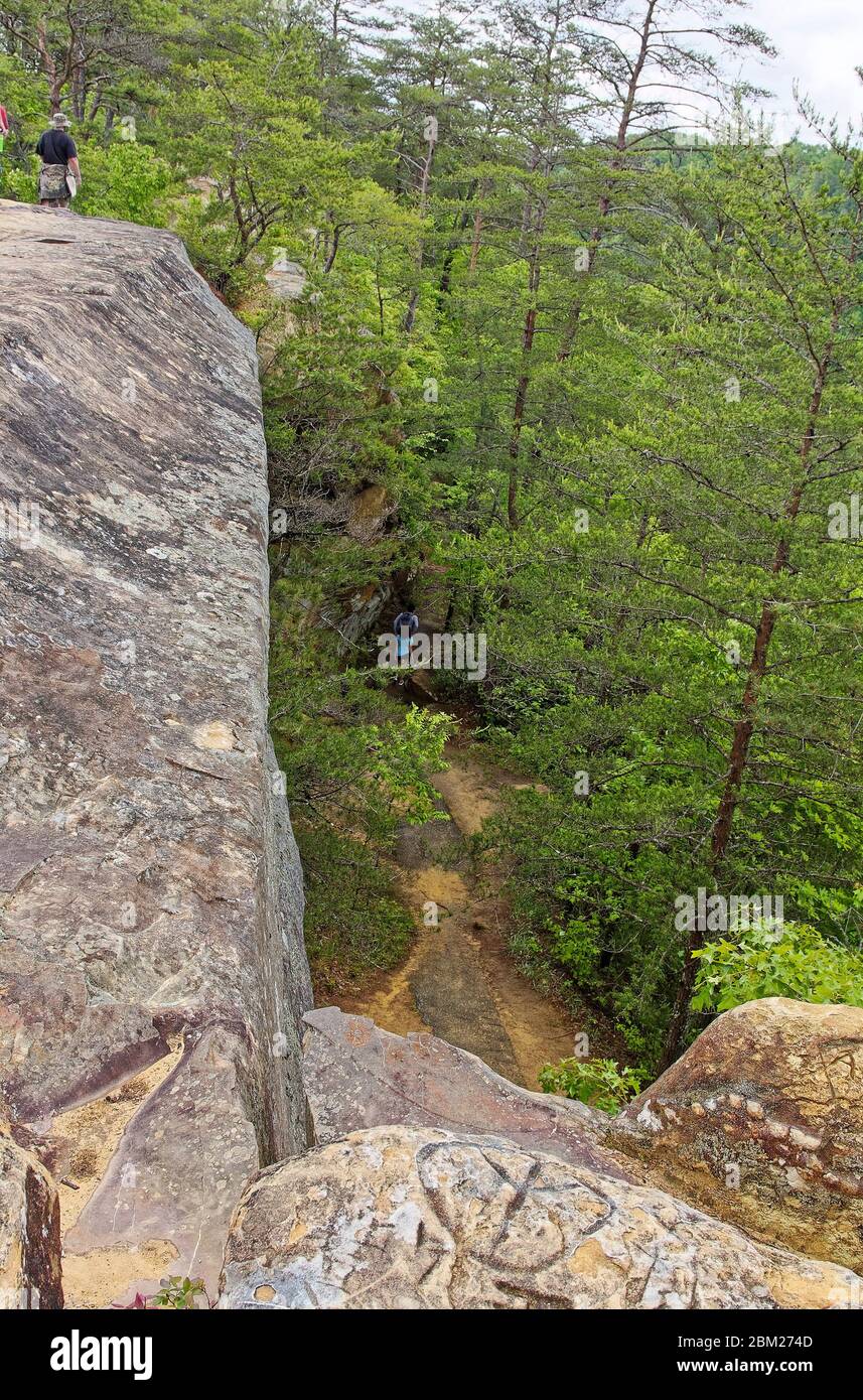 hiking trails, people, nature, recreation, exercise, sandstone cliff ...