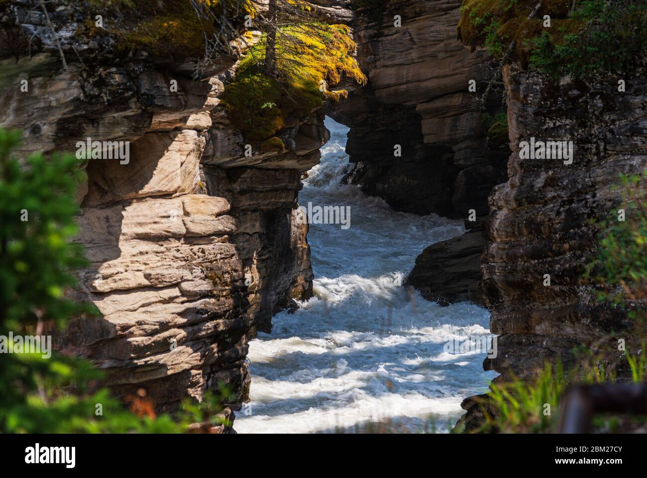 Athabaska hi-res stock photography and images - Alamy