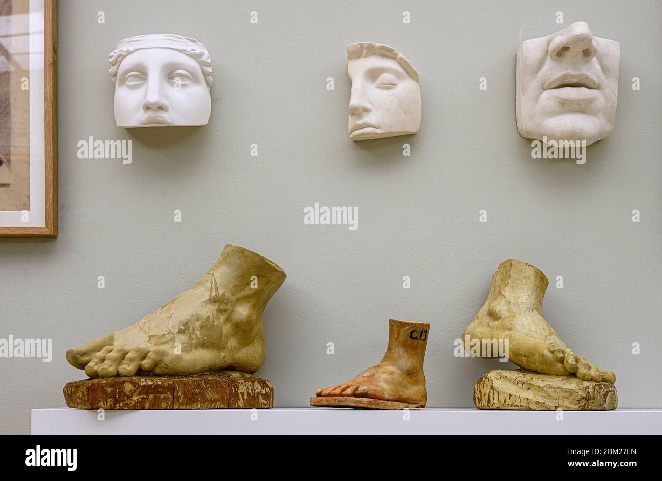 Anatomy museum madrid hi-res stock photography and images - Alamy