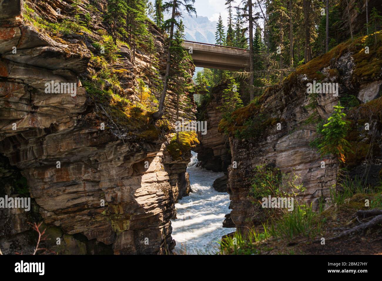 athabaska fall views, Japer National Pak, Alberta, Canada Stock Photo ...