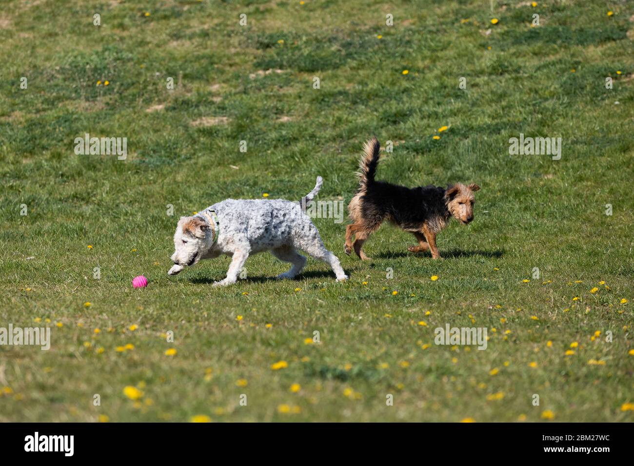 Capable of cooperation hi-res stock photography and images - Alamy