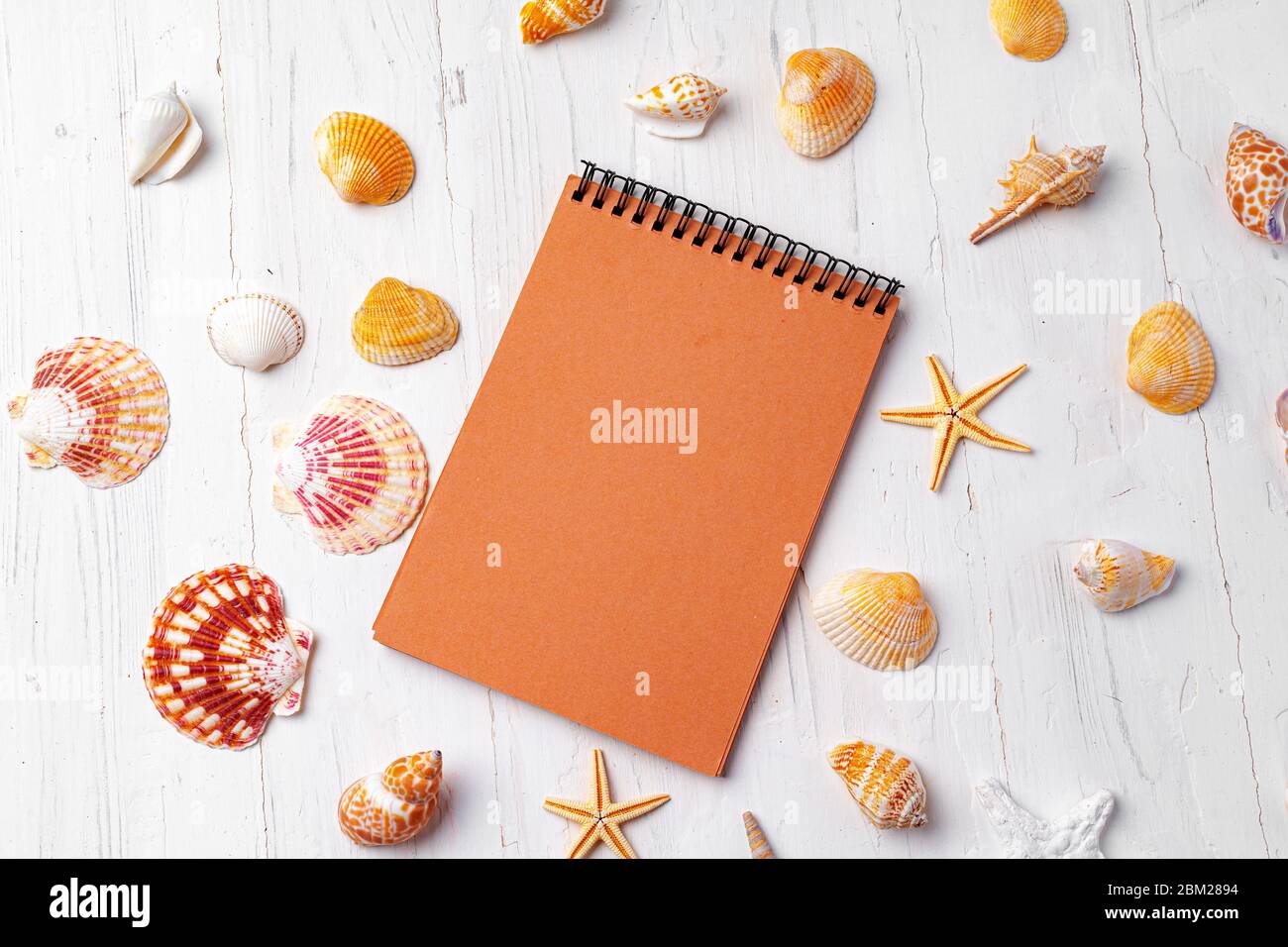 Brown open notepad surrounded by sea shells on white wooden table ...