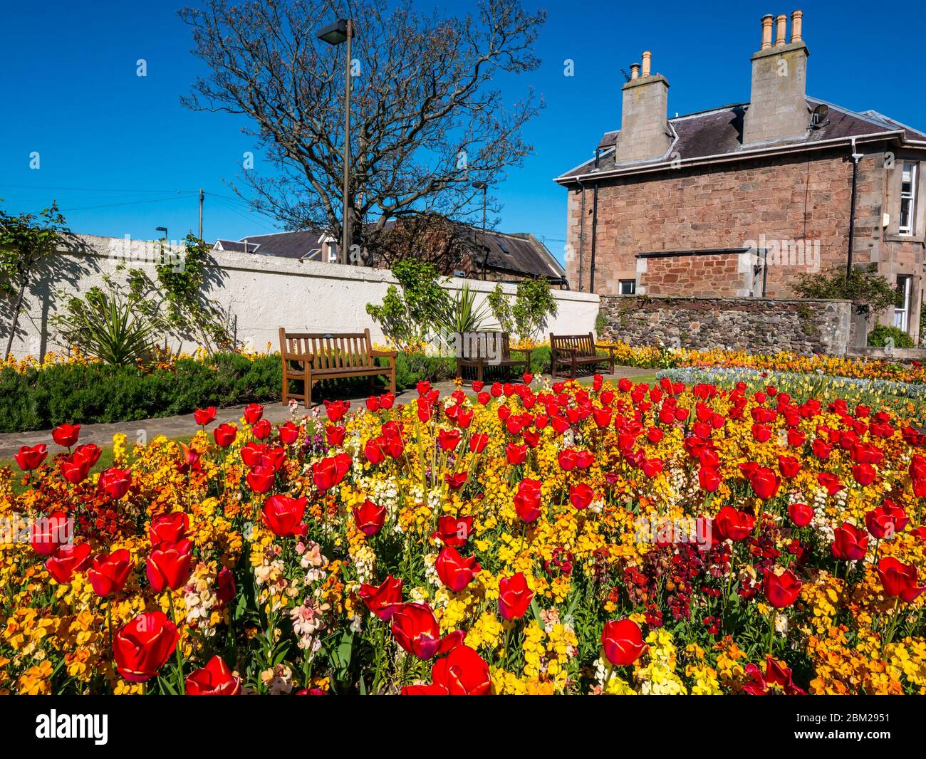 Berwick park hi-res stock photography and images - Alamy