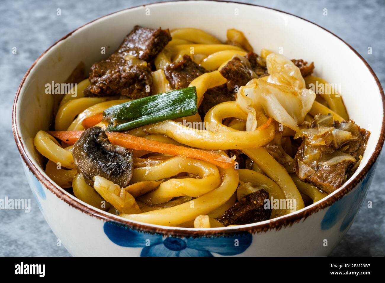 Asian Style Japanese Udon Noodle Soup with Beef, Mushroom and ...