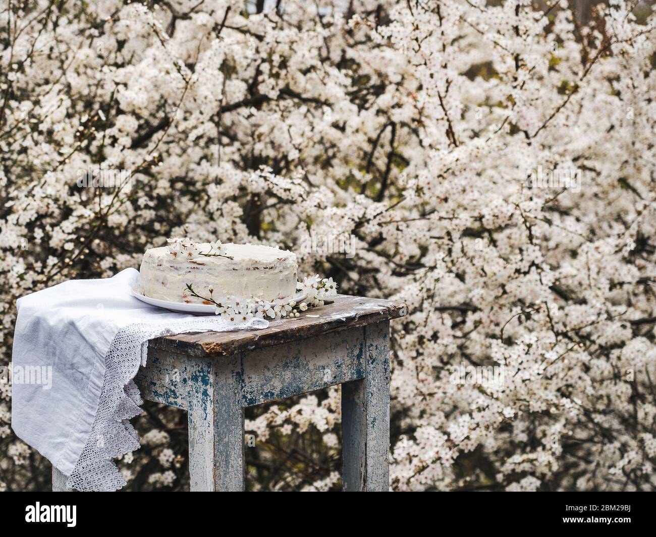 Beautiful vintage fork pattern hi-res stock photography and images - Alamy