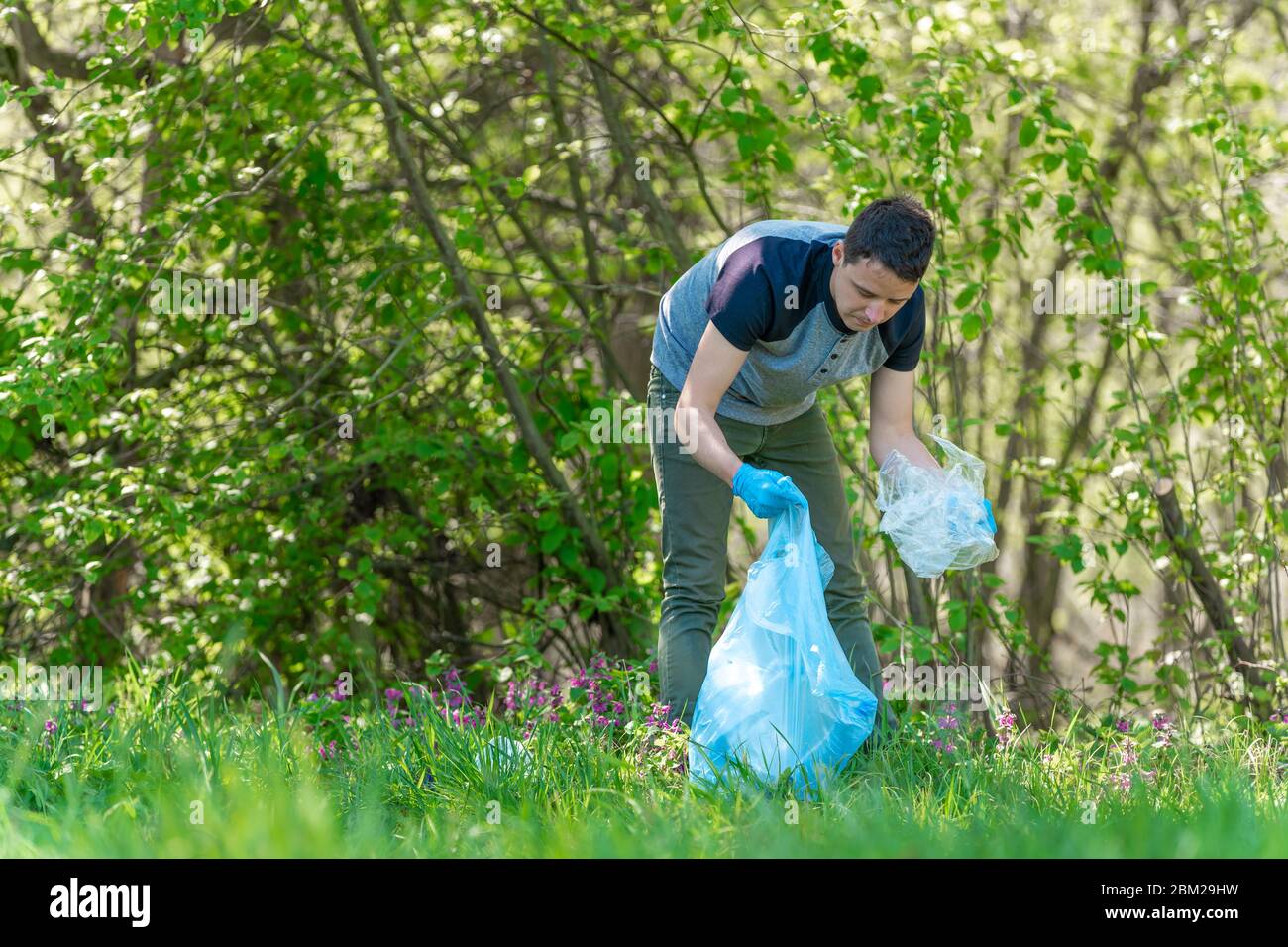 cleaning of forests and parks from garbage, waste collection and ...