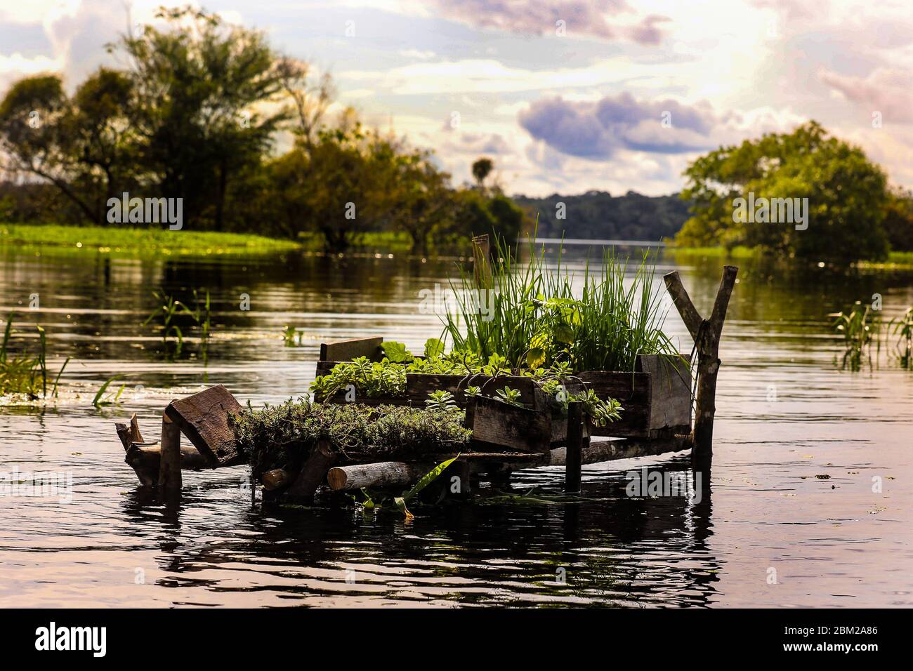 River settlements in brazil hi-res stock photography and images - Alamy