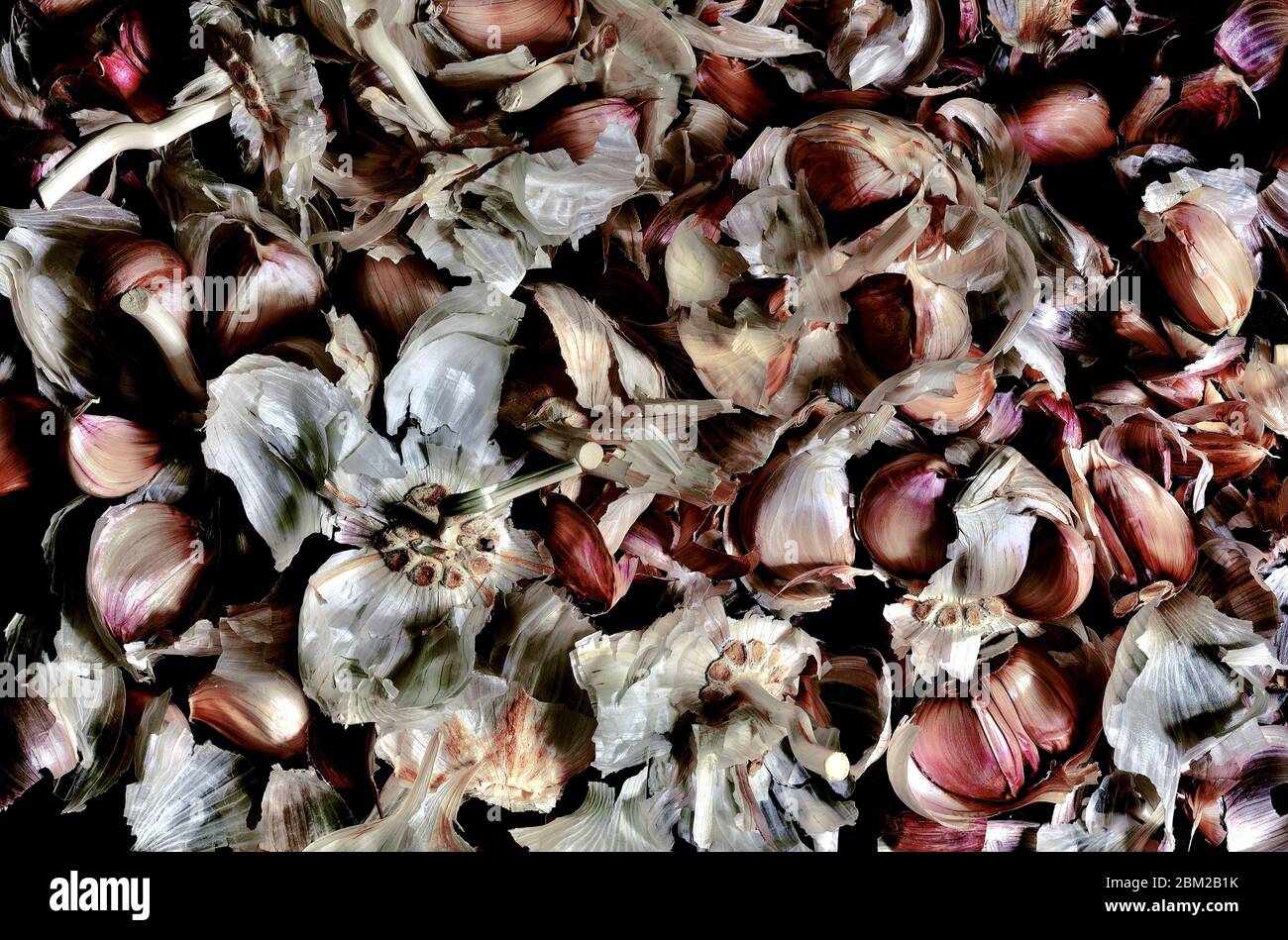 Broken garlic hi-res stock photography and images - Alamy