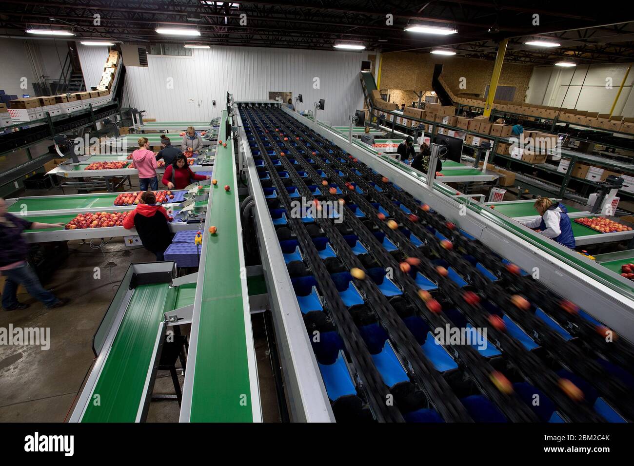 Food plant automation hi-res stock photography and images - Alamy