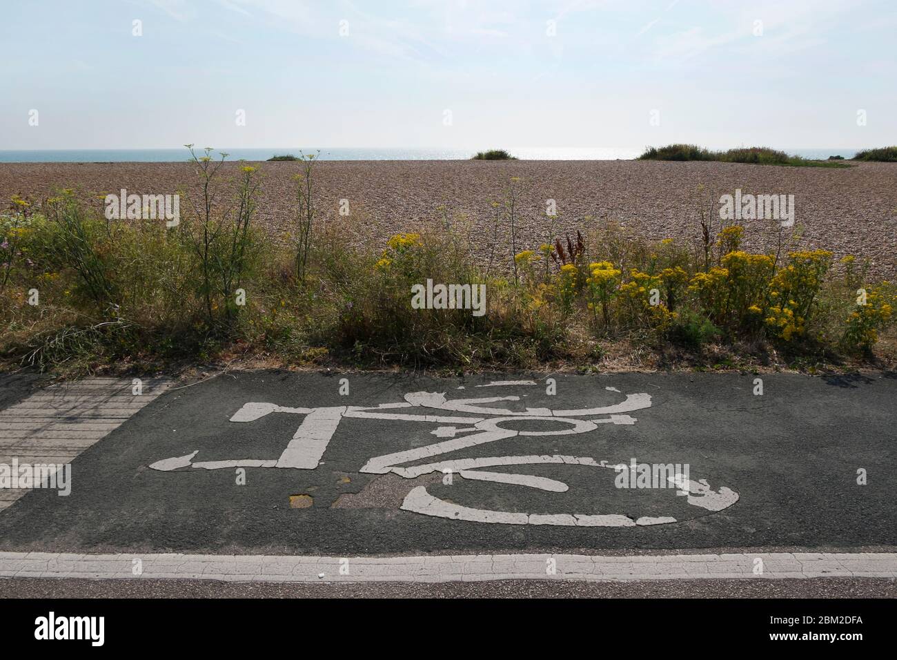 Kingsdown beach plants hi-res stock photography and images - Alamy