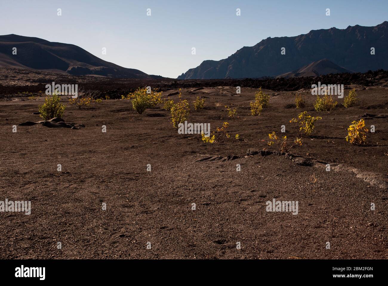 Lava landscape hi-res stock photography and images - Alamy