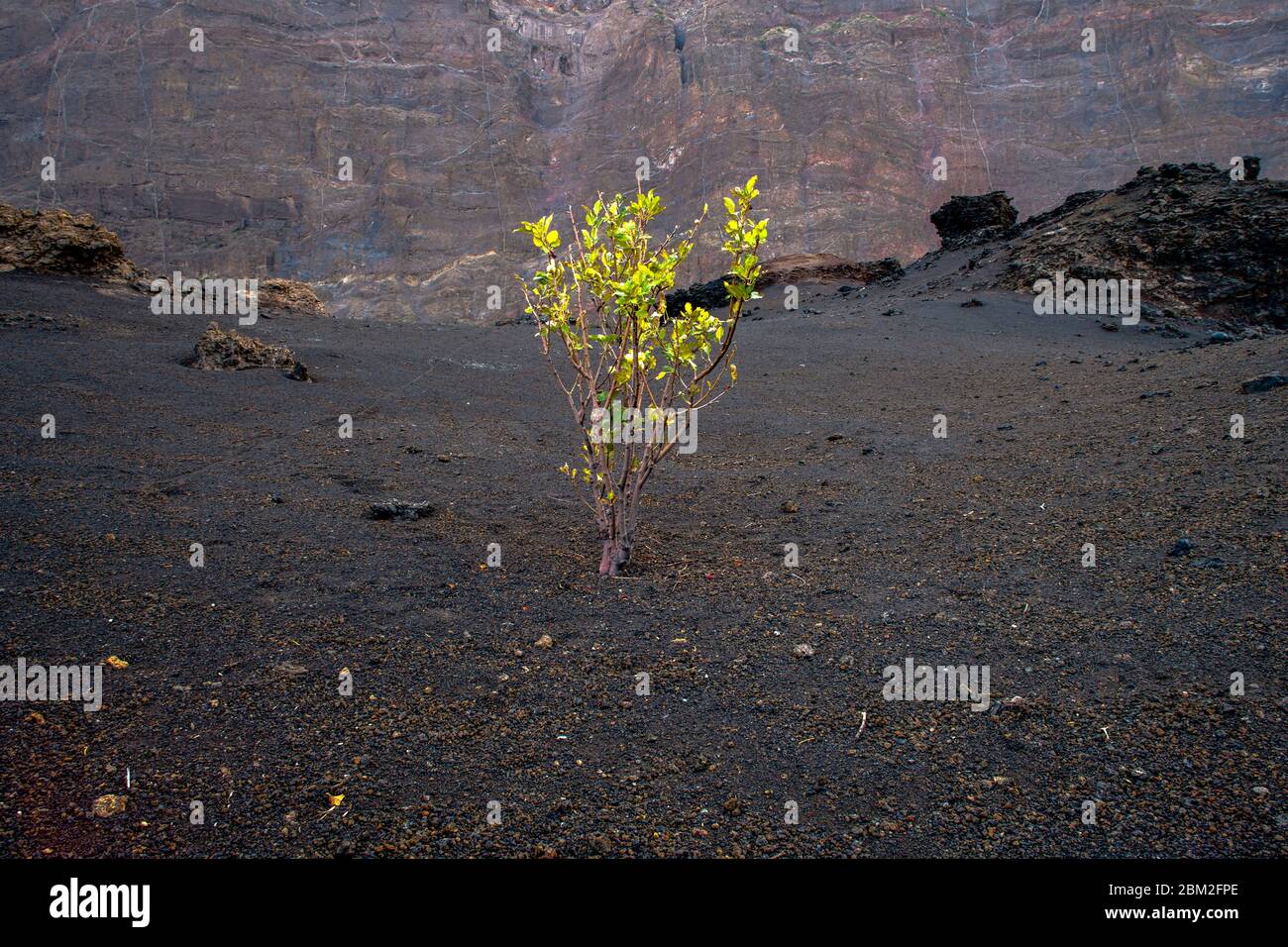 Lava landscape hi-res stock photography and images - Alamy