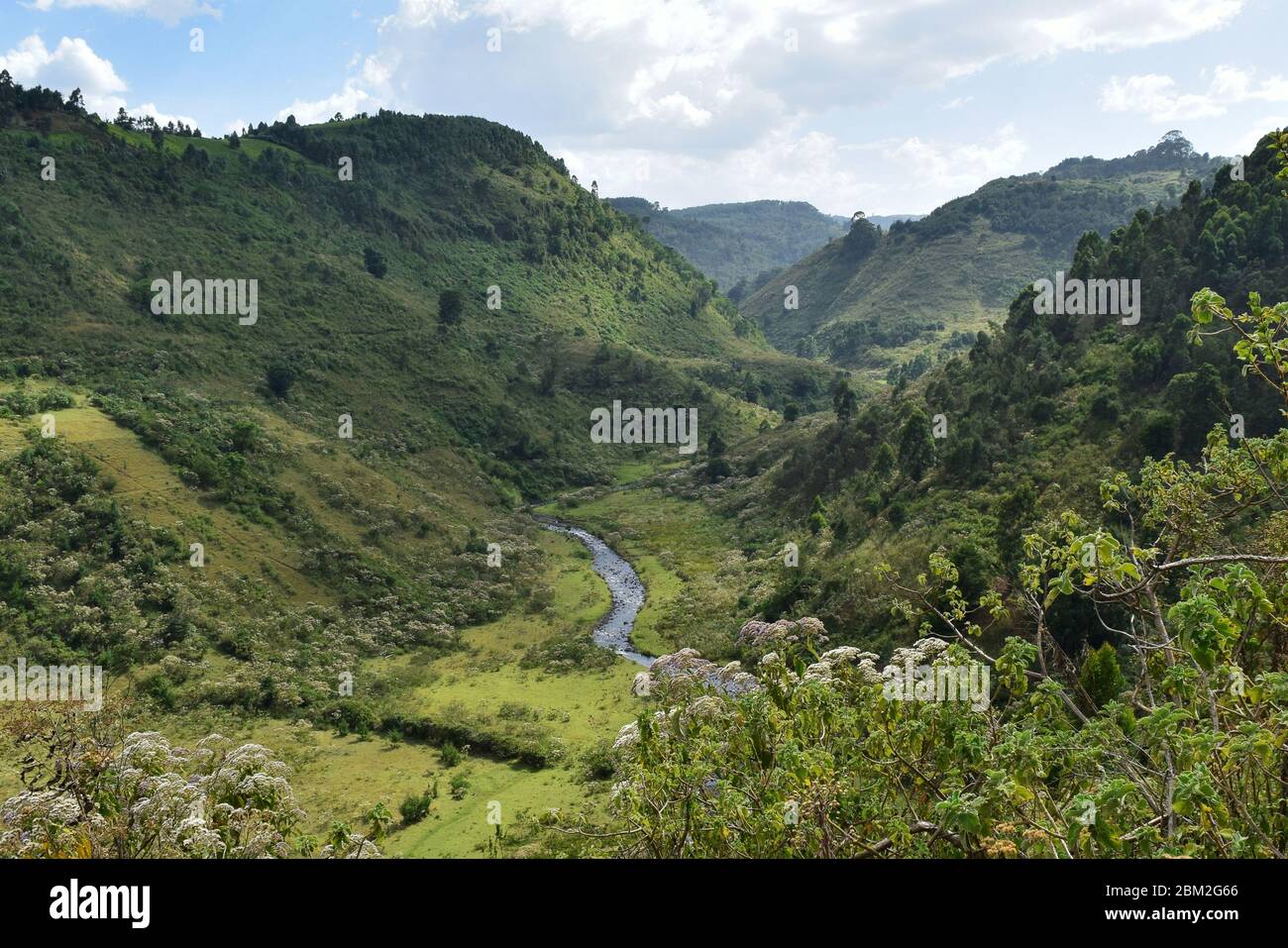 Aberdare ranges hi-res stock photography and images - Alamy
