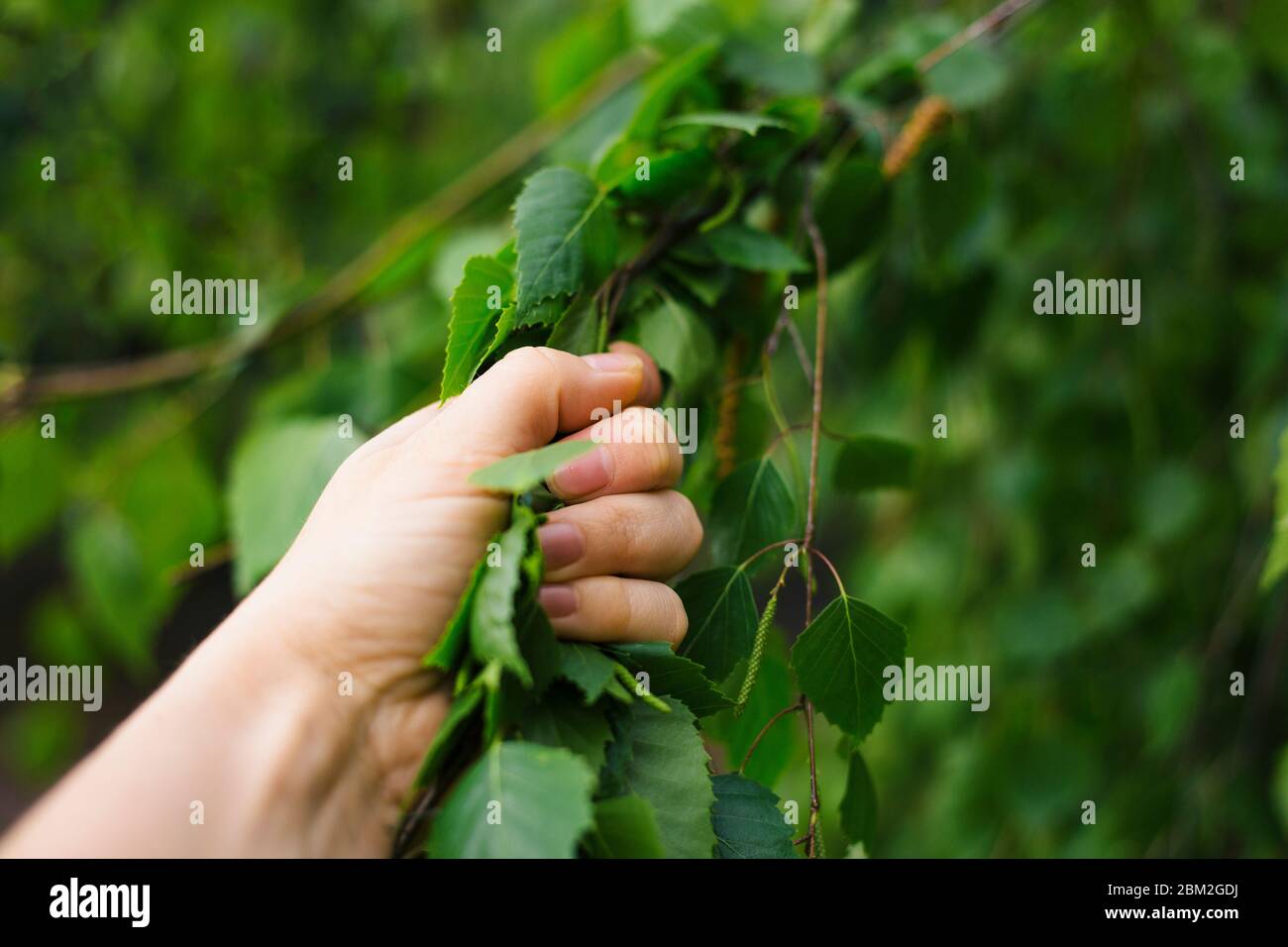Human and nature contact. Enviroment concept. Handshake between human ...
