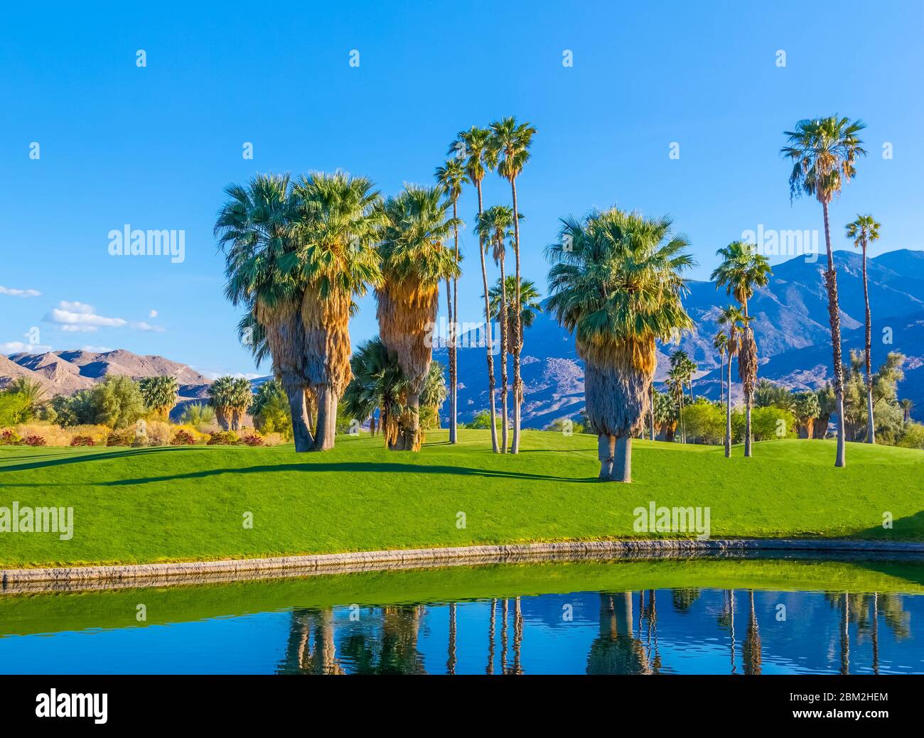Beauty of the southwest hi-res stock photography and images - Alamy